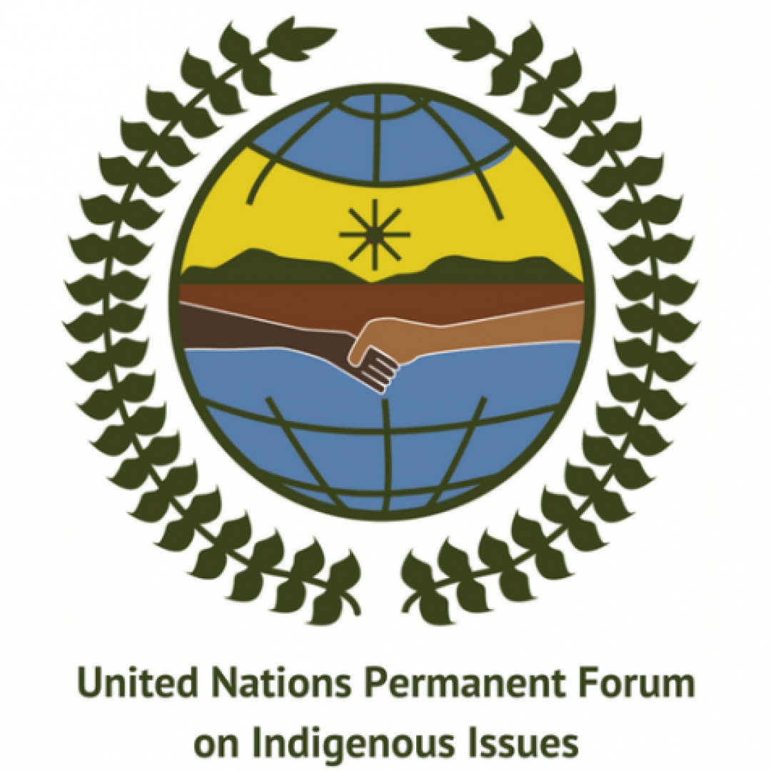 2024 United Nations Forum on Indigenous Issues Convenes in New York ...