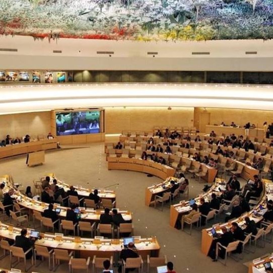 Special Rapporteur on Minority Issues Will Present Report to Human ...