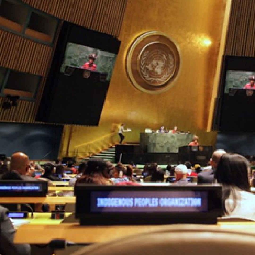 UN Permanent Forum on Indigenous Issues 2023 - Minority Forum Info