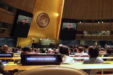 UN Permanent Forum on Indigenous Issues 2023 - Minority Forum Info